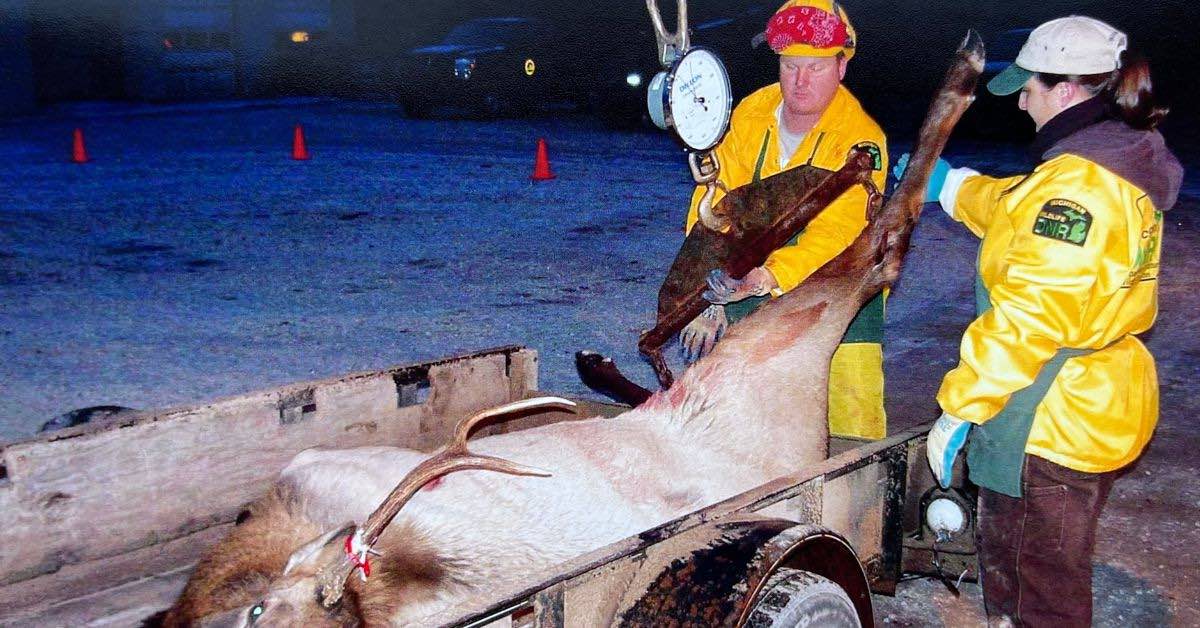 Michigan Elk Hunting by Horseback